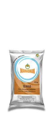 Palvi Agro