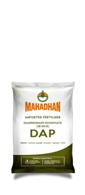 Palvi Agro